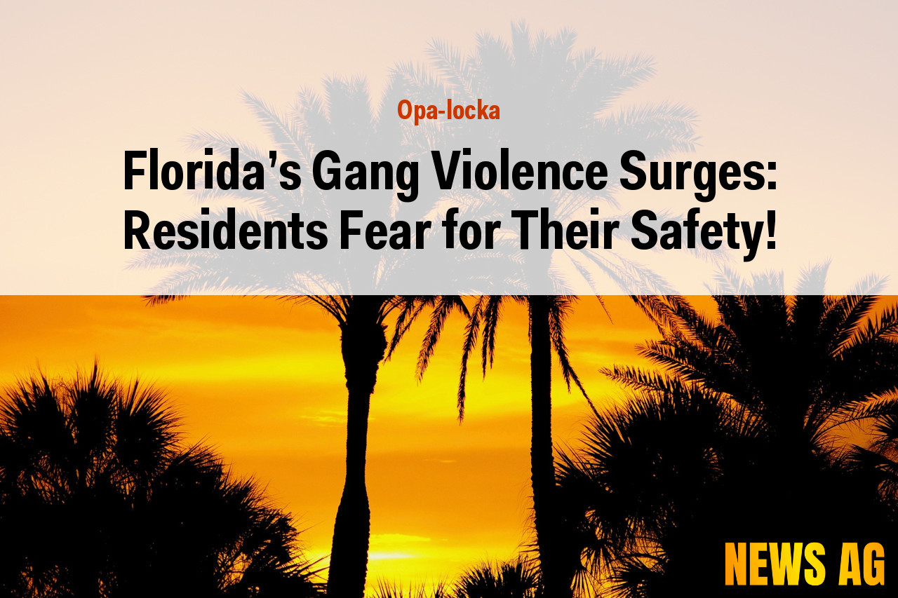 Florida's Gang Violence Surges: Residents Fear for Their Safety!